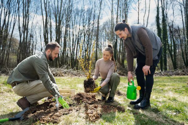 What’s the best time to plant trees in Wisconsin? | Bayside Garden Center