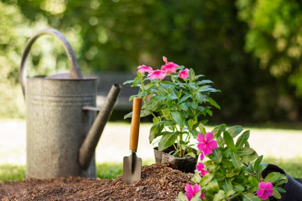 When to start planting flowers in Wisconsin? | Bayside Garden Center